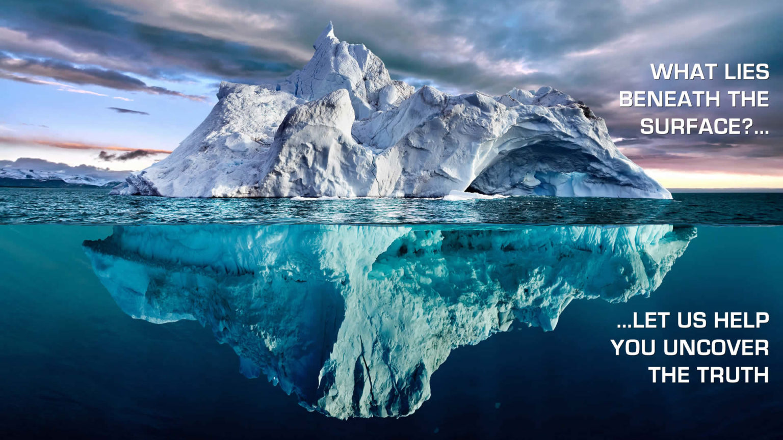 Home - Bloodhound Investigations